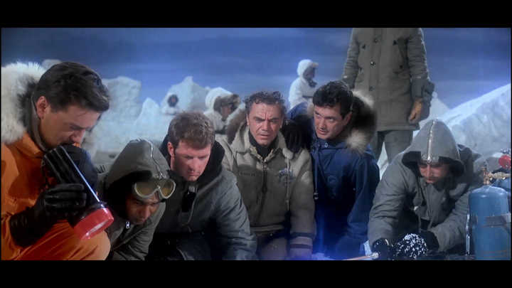 ESTACIÓN POLAR ZEBRA | boletos programas y tardes de matine