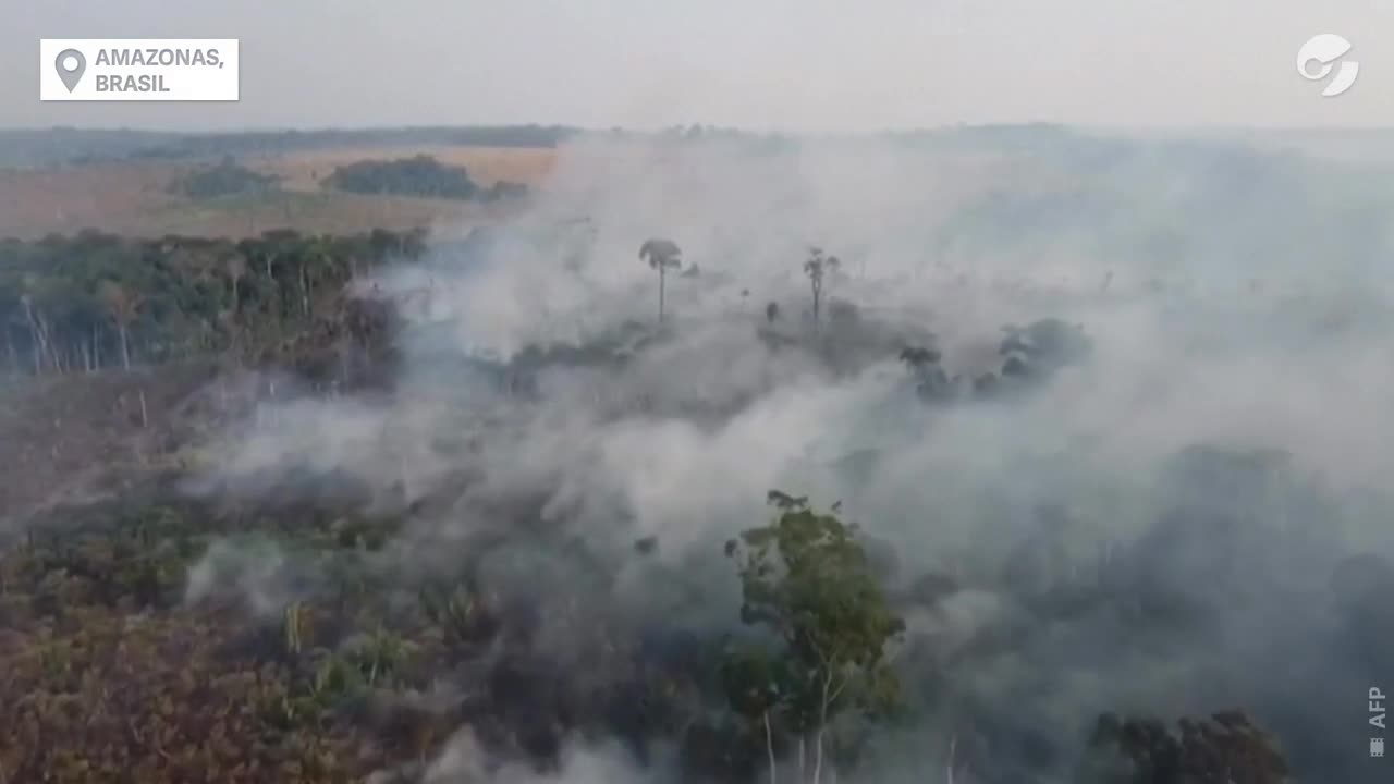 Video: Graves incendios forestales en el Amazonas - 18/08/2020 - Clarín.com