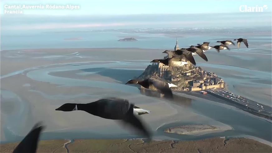 El hombre pajaro - 05/01/2018 - Clarín.com